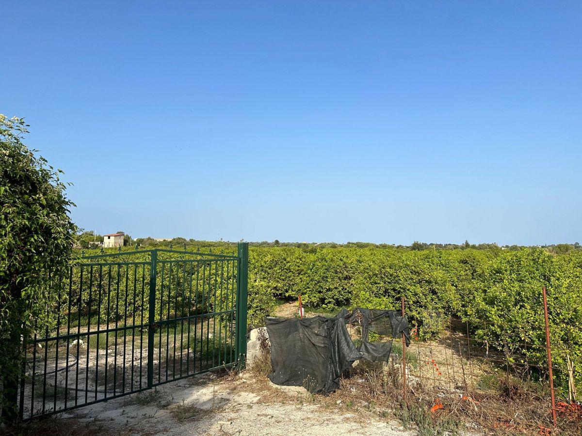 Terreno agricolo in vendita a Avola
