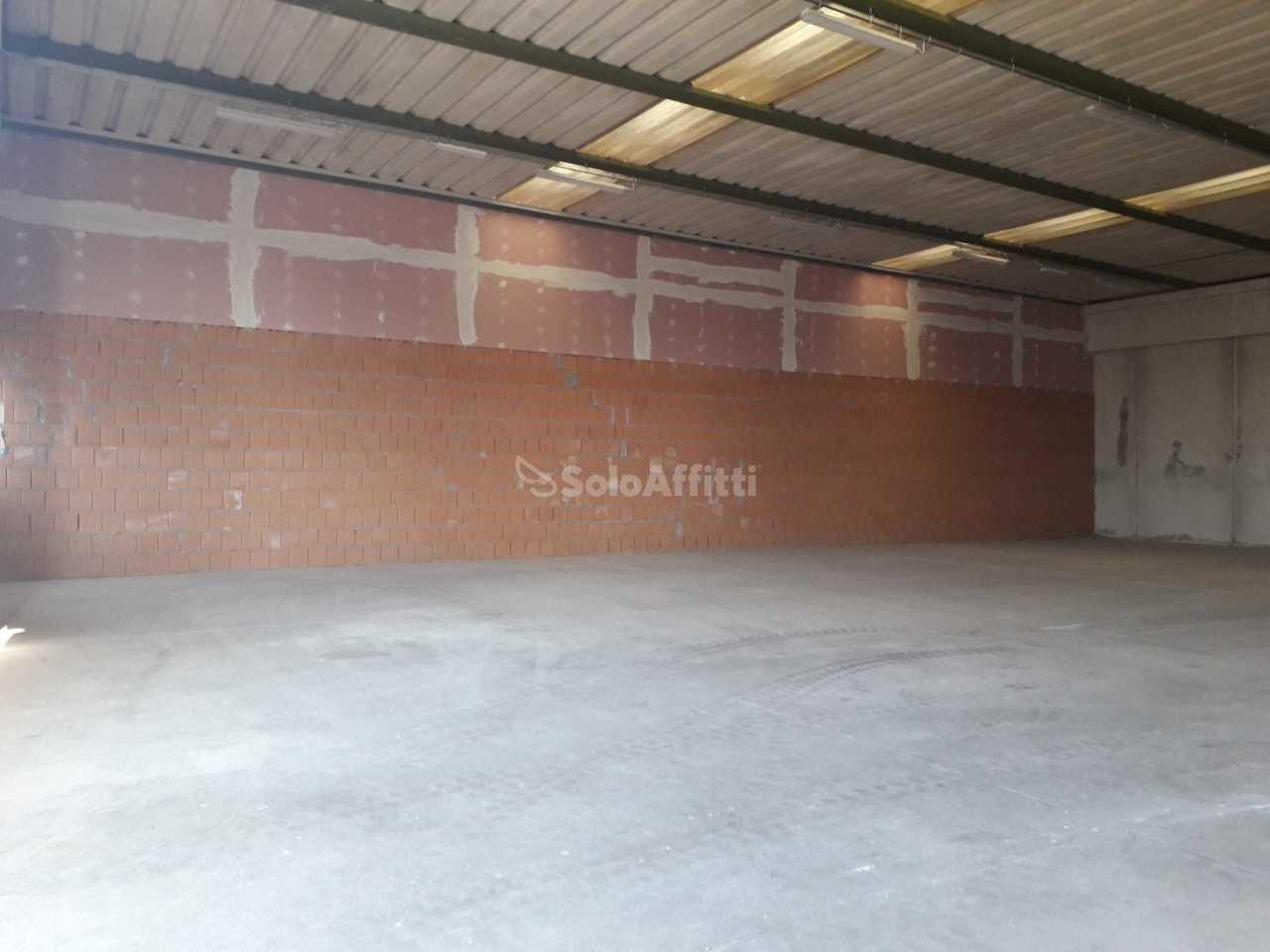 Magazzino in affitto a Albaredo D'Adige