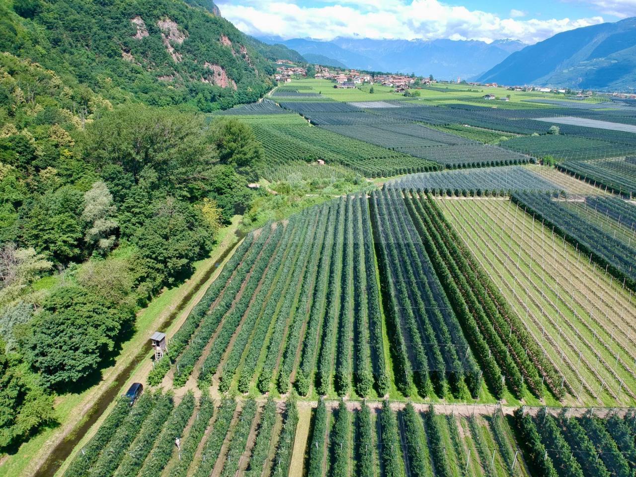 Terreno agricolo in vendita a Appiano Sulla Strada Del Vino