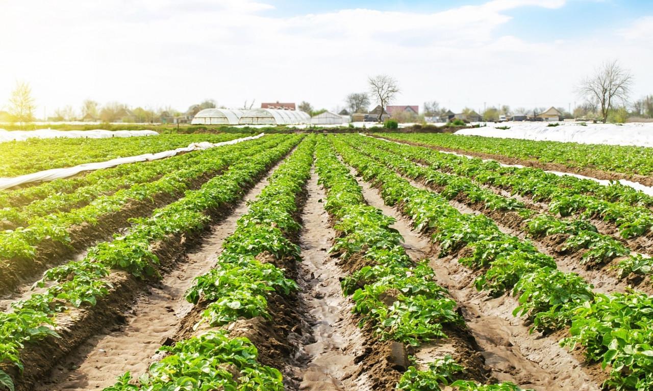 Terreno edificabile residenziale in vendita a Este