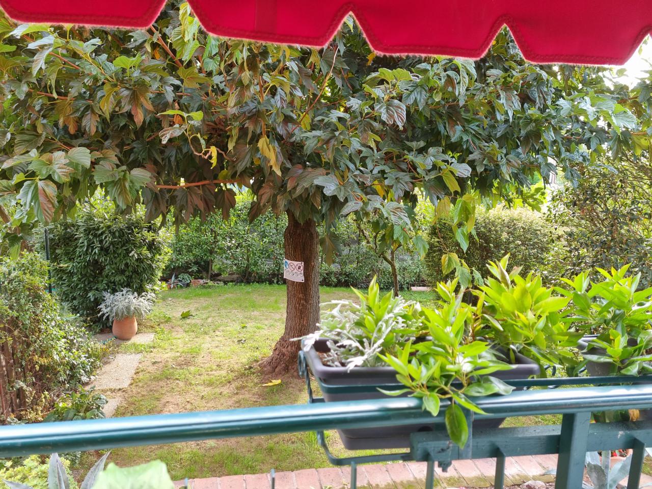 Casa indipendente in vendita a Baone