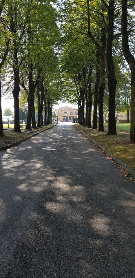 Capannone in vendita a Ospedaletto Euganeo