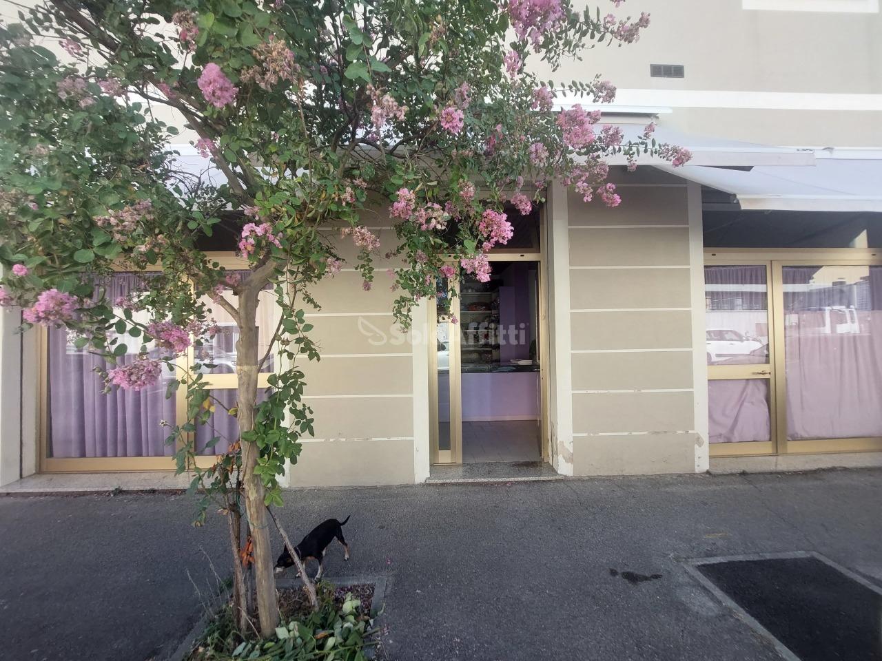 Lavanderia in affitto a Morciano Di Romagna