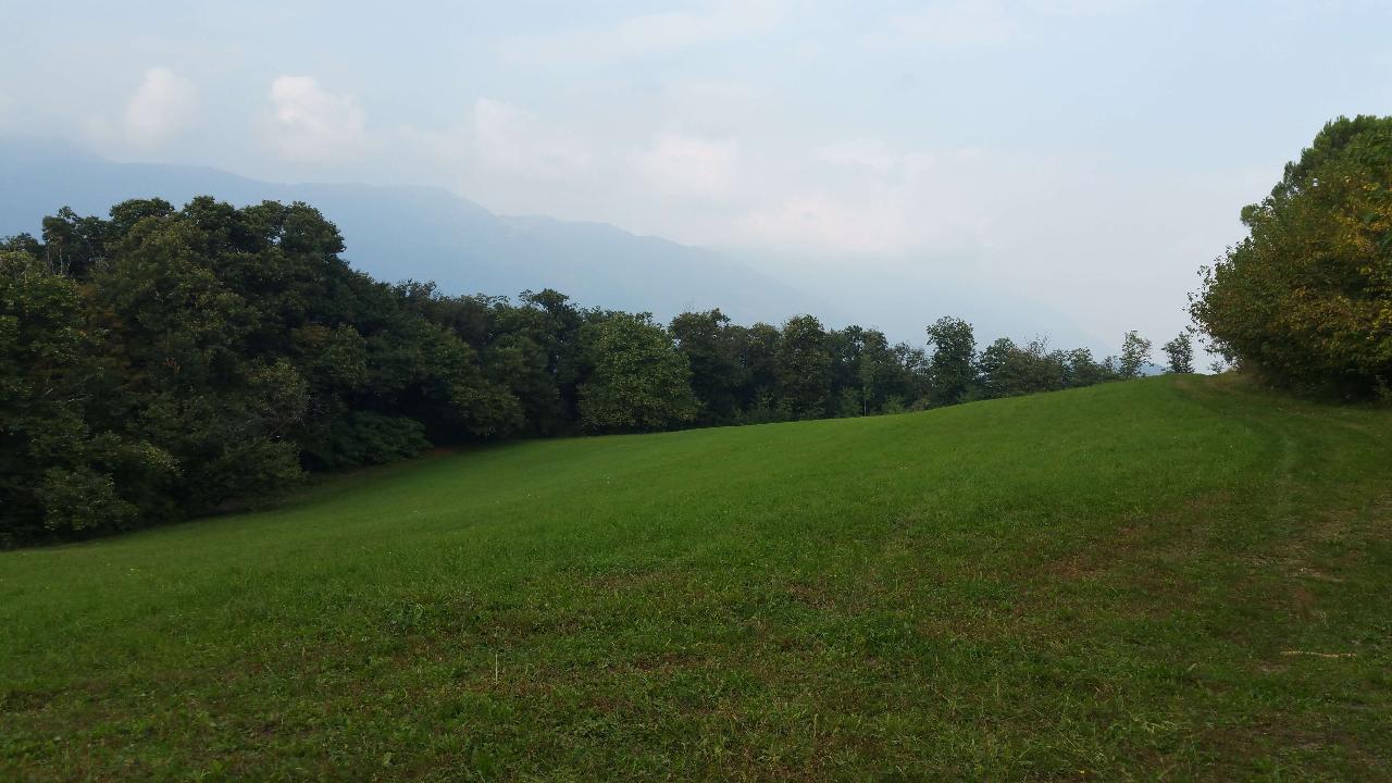 Rustico in vendita a Tarzo