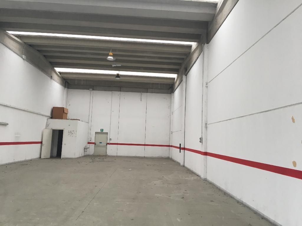 Locale commerciale in affitto a Peschiera Borromeo