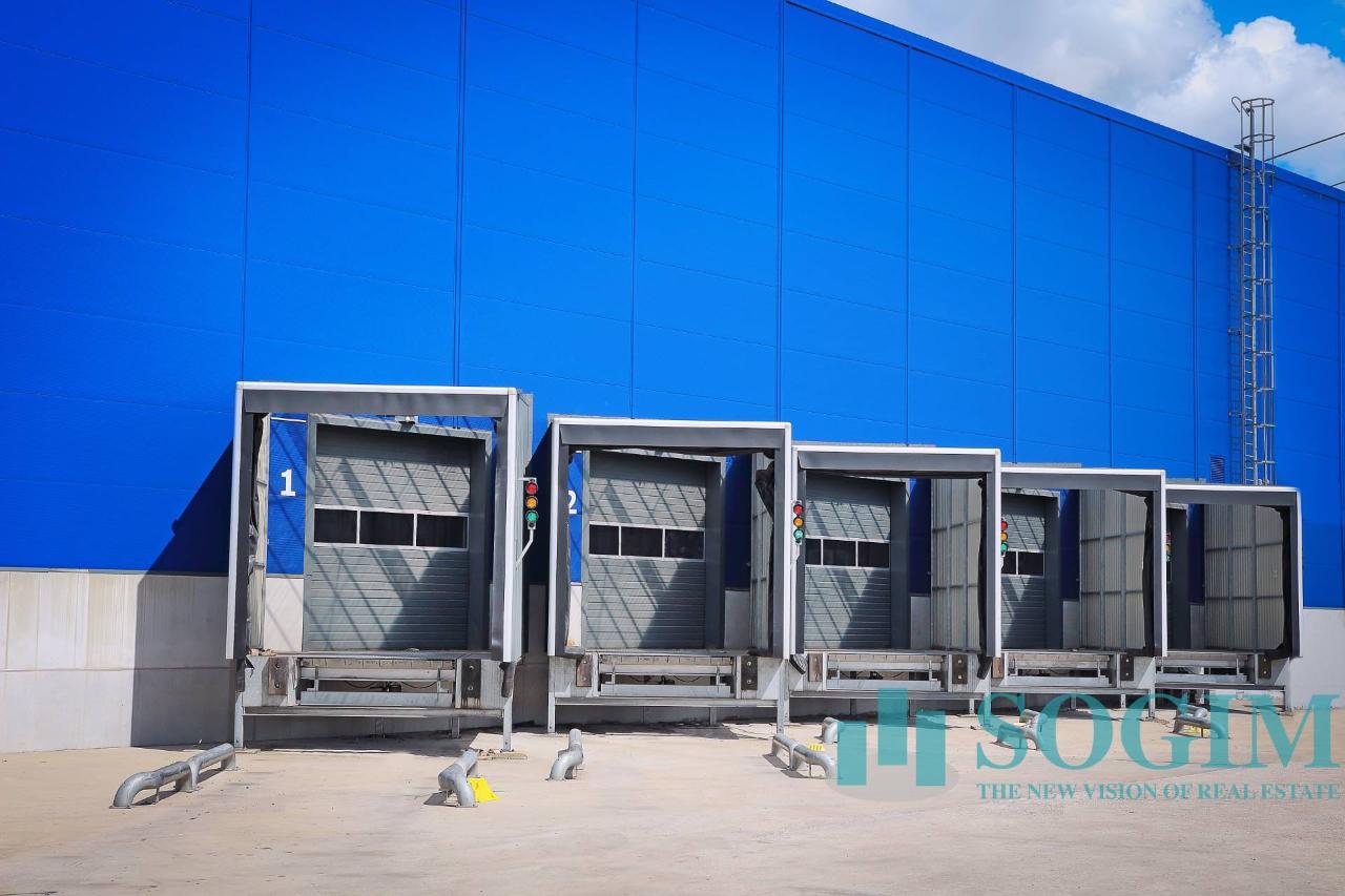 Capannone in affitto a Nogarole Rocca