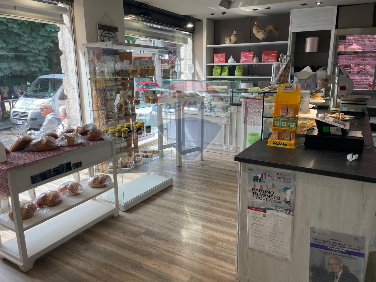 Negozio in affitto a Belluno
