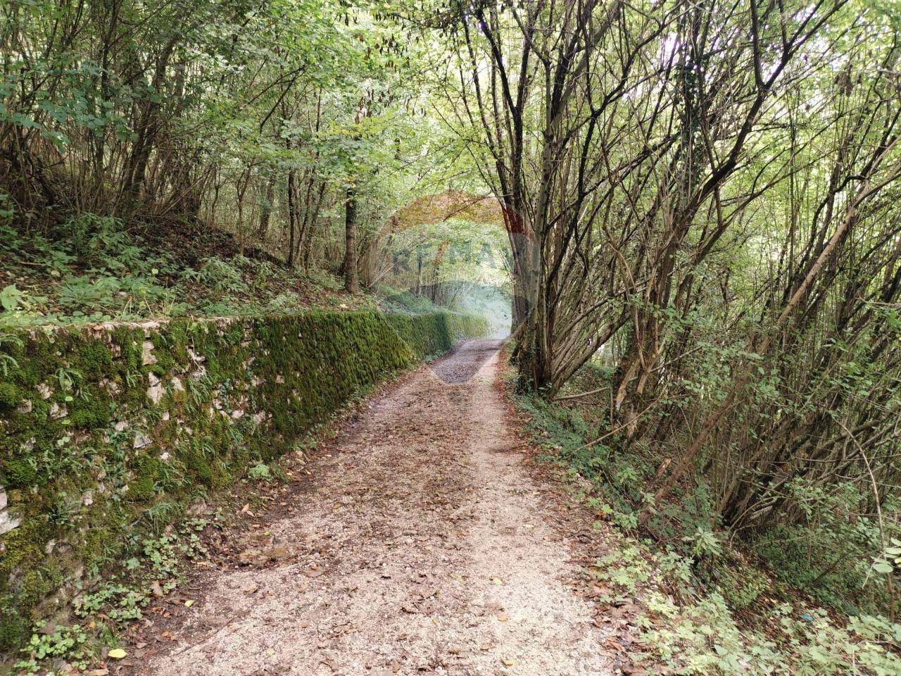 Terreno agricolo in vendita a Cesiomaggiore