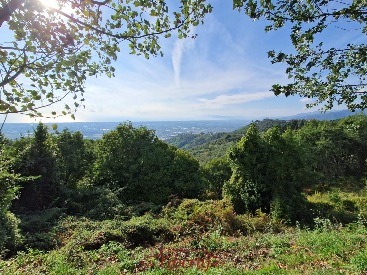 Villa in vendita a Massarosa
