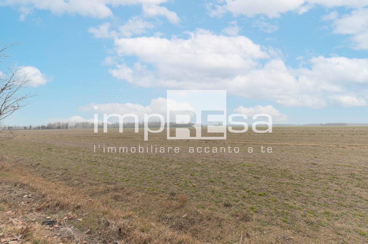 Terreno agricolo in vendita a Venezia