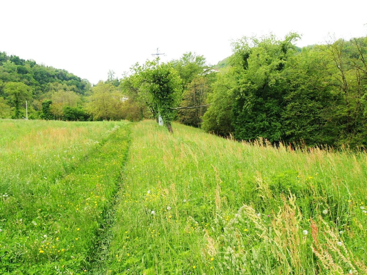 Terreno agricolo in vendita a Arzignano