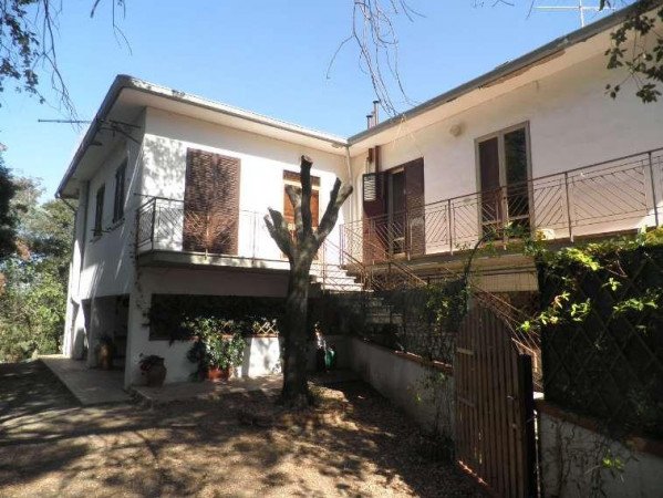 Appartamento in vendita a Rosignano Marittimo