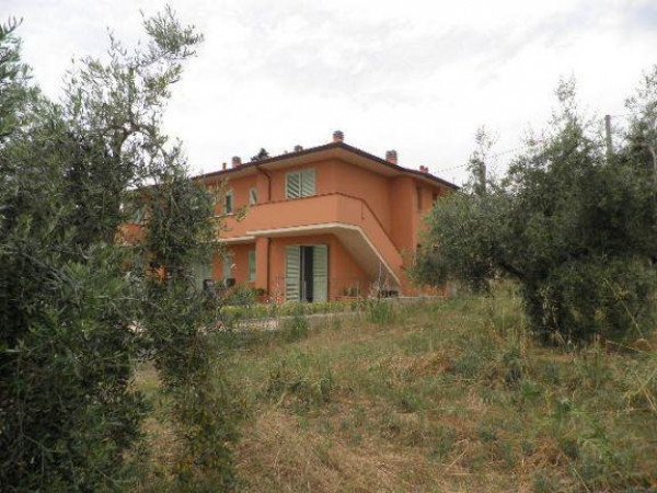 Appartamento in vendita a Castellina Marittima