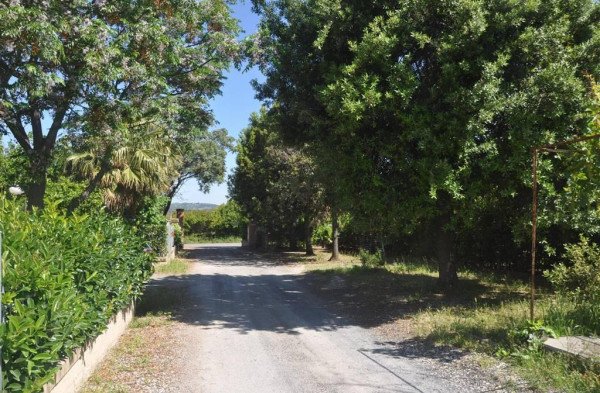 Appartamento in vendita a Rosignano Marittimo