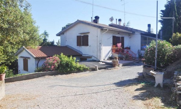 Appartamento in vendita a Castellina Marittima