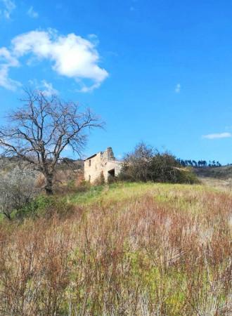 Rustico in vendita a Pomarance