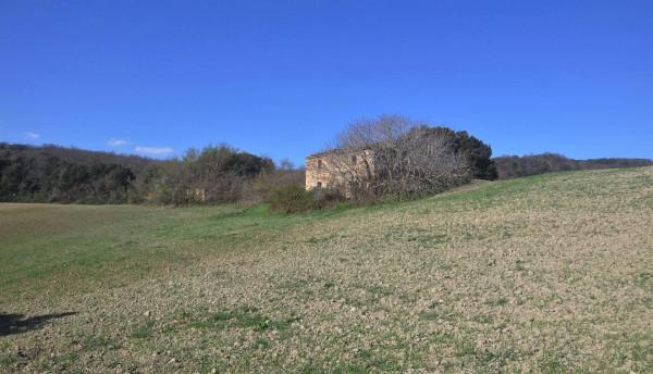 Rustico in vendita a Montecatini Val Di Cecina