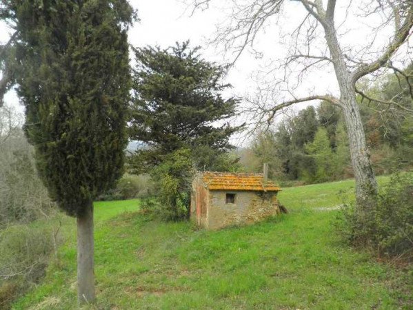 Rustico in vendita a Montescudaio