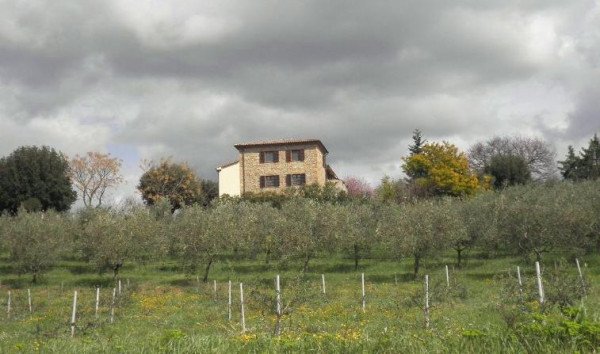 Rustico in vendita a Riparbella