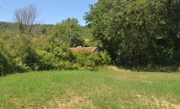 Rustico in vendita a Guardistallo