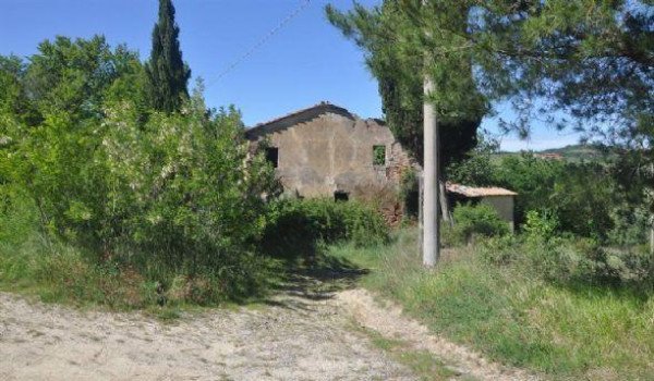 Rustico in vendita a Peccioli