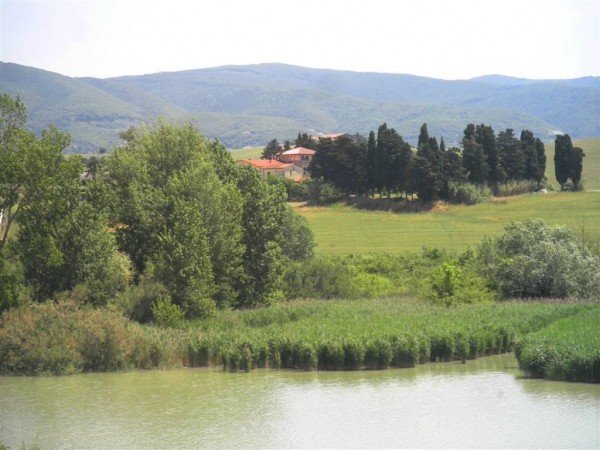 Rustico in vendita a Santa Luce