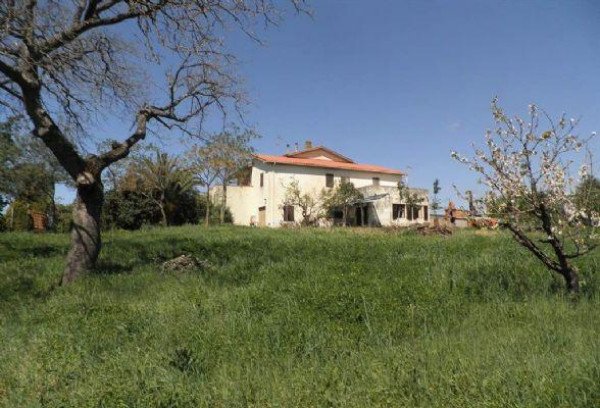 Villa in vendita a Bibbona