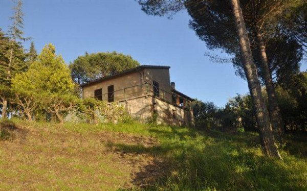 Villa in vendita a Montescudaio
