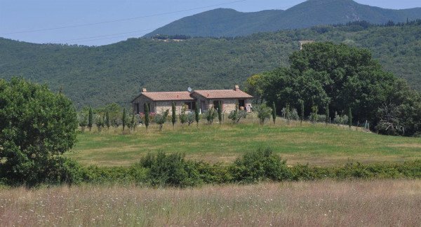 Rustico in vendita a Riparbella
