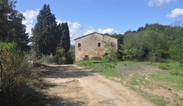 Azienda agricola in vendita a Casciana Terme Lari