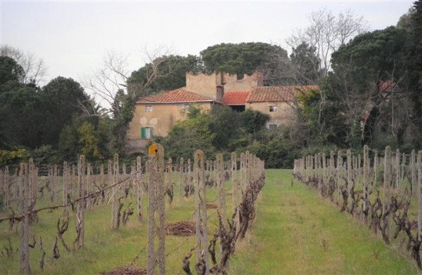 Casale in vendita a Cecina