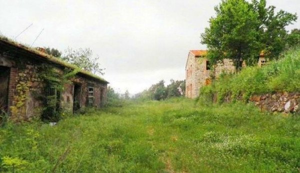 Azienda agricola in vendita a Monteverdi Marittimo
