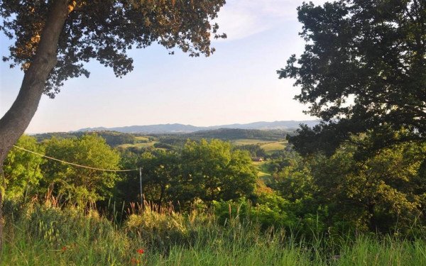 Rustico in vendita a Peccioli