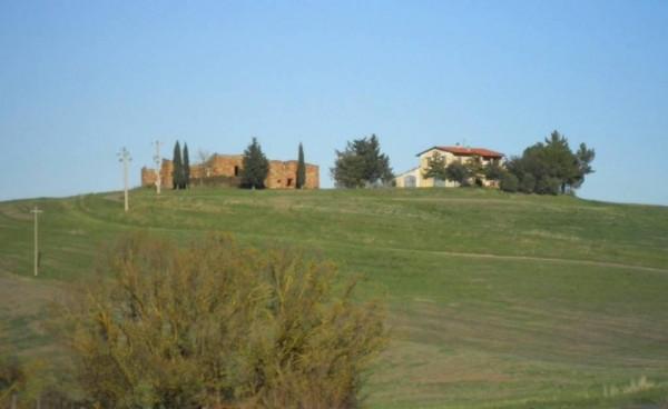 Azienda agricola in vendita a Chianni