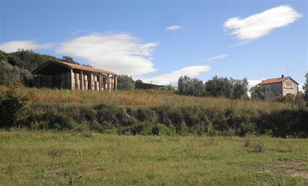 Azienda agricola in vendita a Montecatini Val Di Cecina