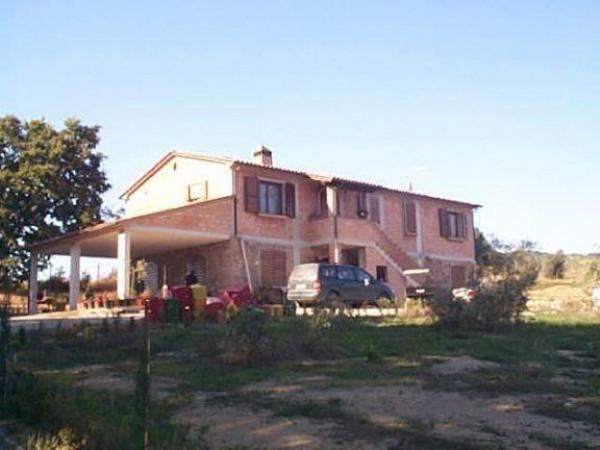 Azienda agricola in vendita a Montecatini Val Di Cecina