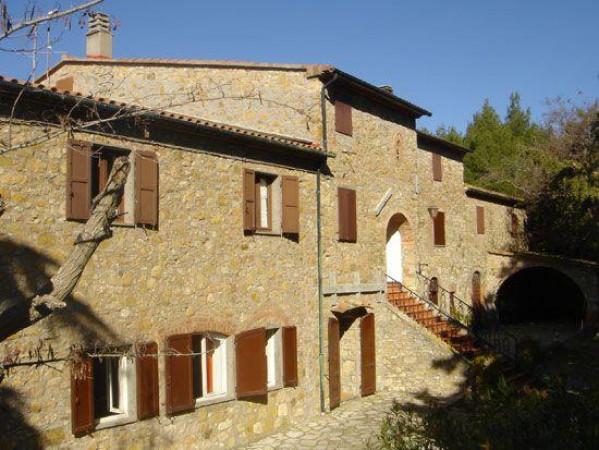 Azienda agricola in vendita a Monteverdi Marittimo