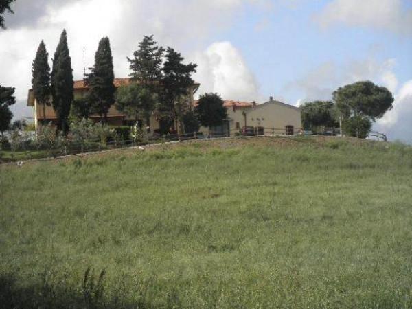 Azienda agricola in vendita a Santa Luce