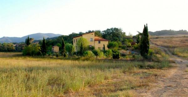 Rustico in vendita a Bibbona