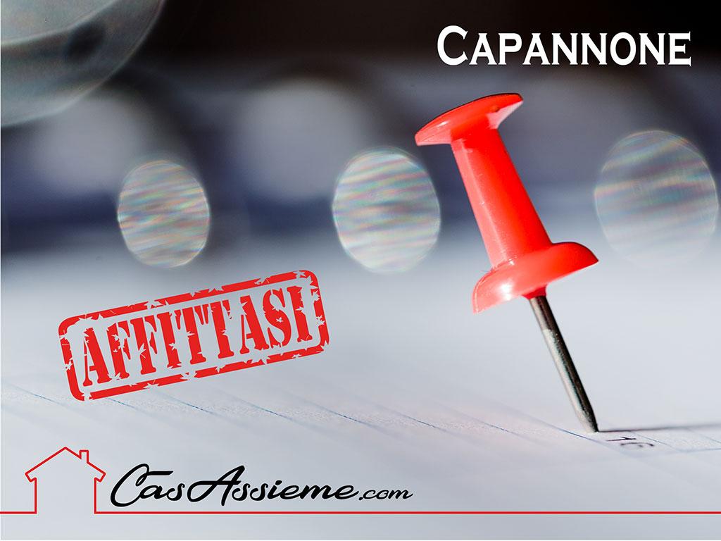 Capannone in affitto a Nove