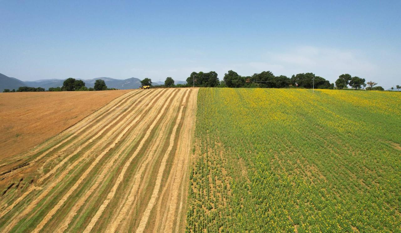 Azienda agricola in vendita a Matelica