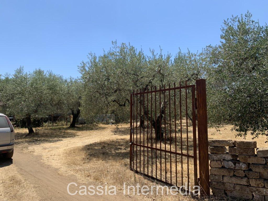 Terreno edificabile produttivo in vendita a Castel Sant'Elia