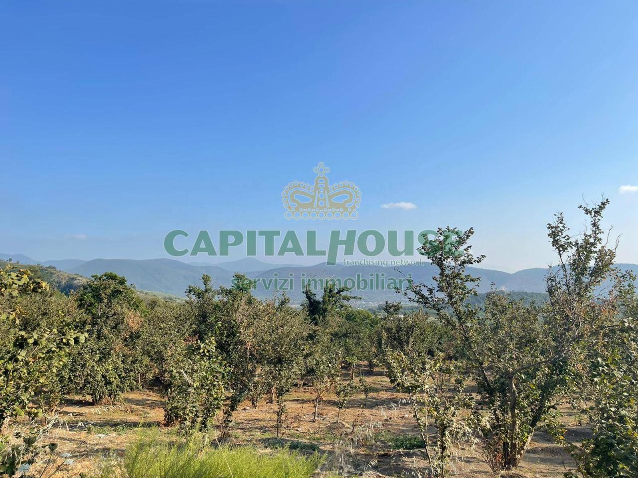 Terreno agricolo in vendita a Avella