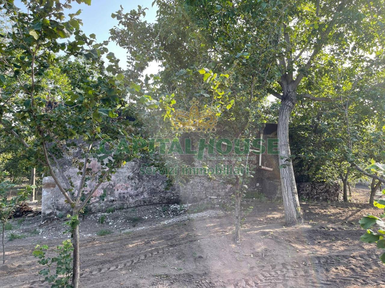 Terreno agricolo in vendita a Avella