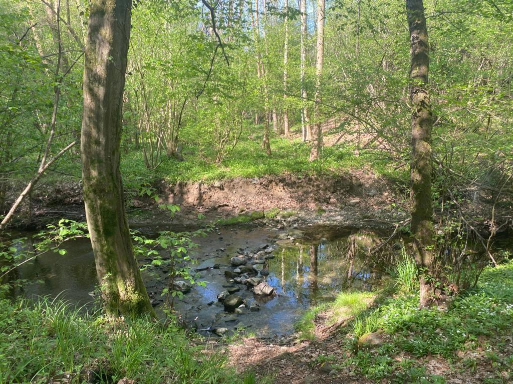 Terreno agricolo in vendita a Briosco