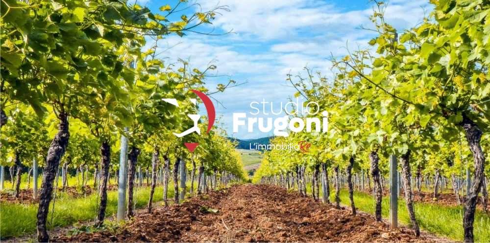 Terreno agricolo in vendita a Soiano Del Lago