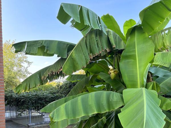 Appartamento in affitto a Parma