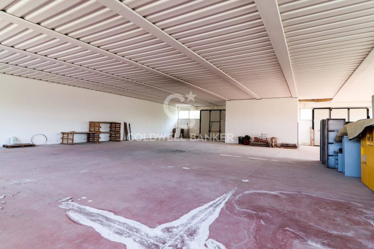 Capannone in vendita a Tarquinia