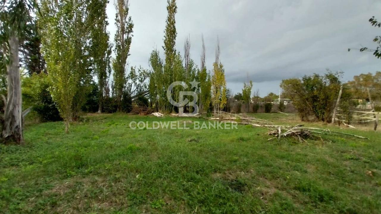 Terreno agricolo in vendita a Tarquinia
