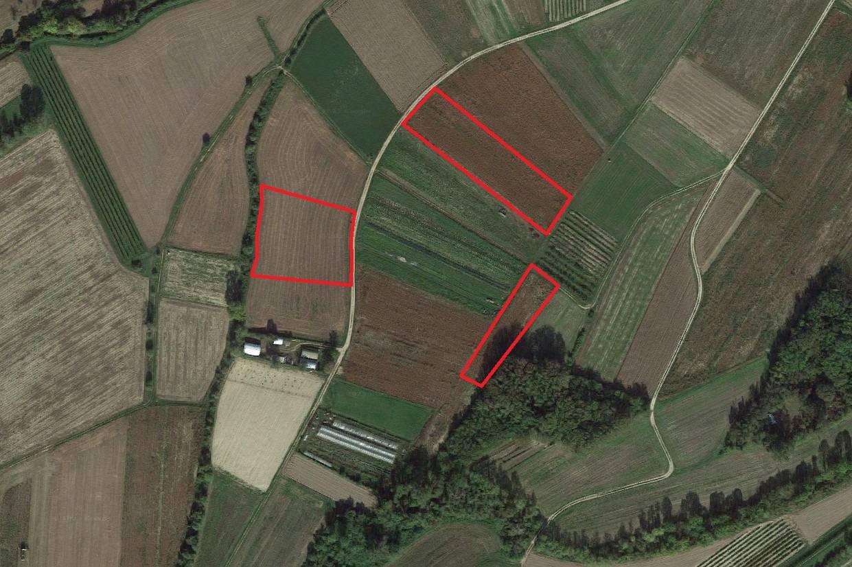 Terreno agricolo in vendita a Farra D'Isonzo